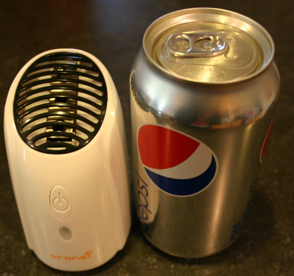 Oransi Ionic Fridge Air Purifier Review | Emily Reviews