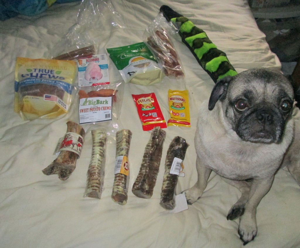 Mojo Pet Online Pet Store - Gifts For Pets- Review & Giveaway (11/24 ...