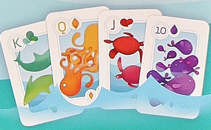 Water Safe Splash Cards & Touring Card Game~ Review | Emily Reviews
