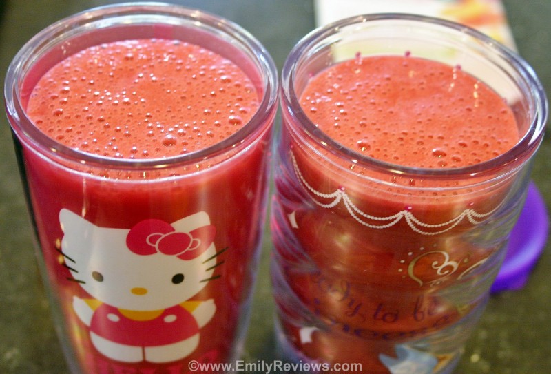 My Vega Plant-Based Protein Shakes~ Review | Emily Reviews