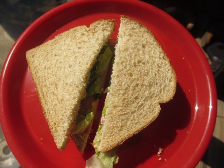 What Are Nutrisystem Flex Meals? | Emily Reviews