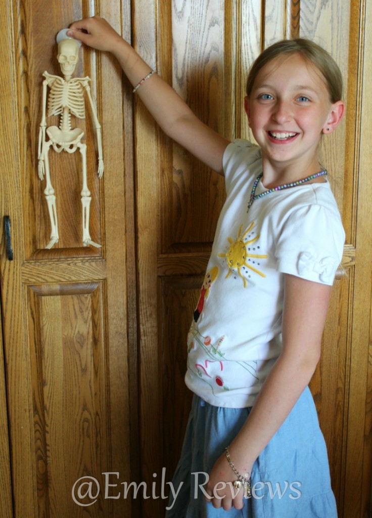 The Young Scientists Club "The Magic School Bus Human Body Lab" Review ...