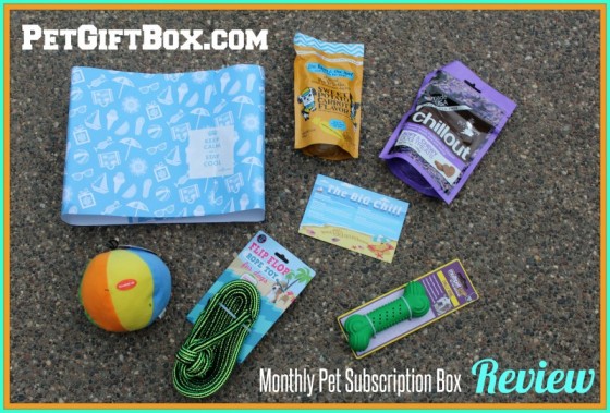 PetGiftBox ~ Summer Fun Gift Box For Our Yorkies! {Dog & Cat ...