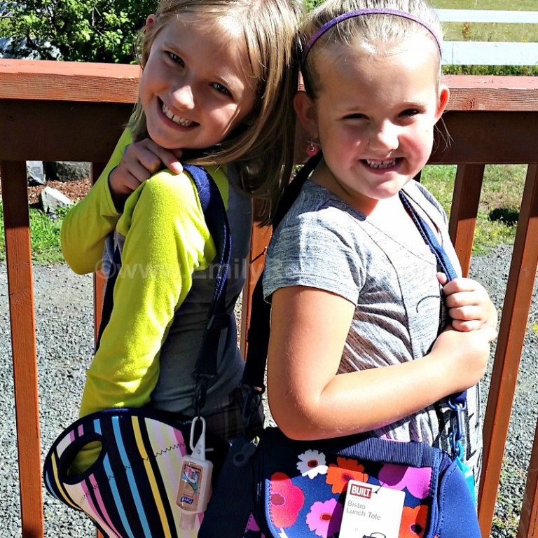 Built NY Insulated Neoprene Lunch Totes ~ Review | Emily Reviews
