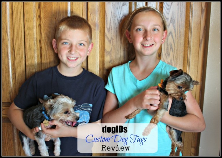 dogIDs Personalized Dog Tags {Review} | Emily Reviews