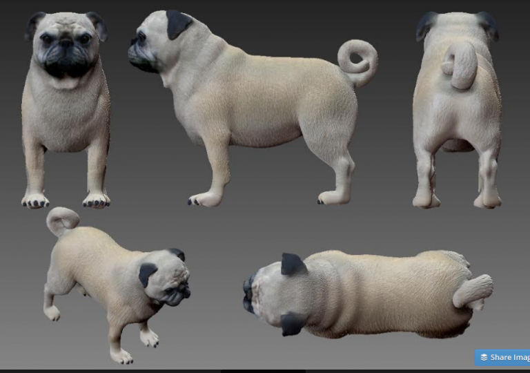 Arty Lobster Custom 3D printed Pet Sculptures Review | Emily Reviews