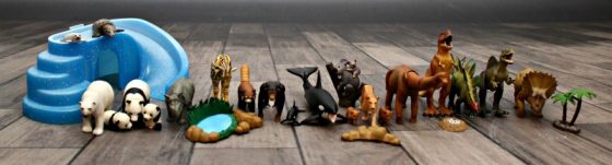 ANIA ~ Animals From Around The World Right In Your House! + Giveaway ...