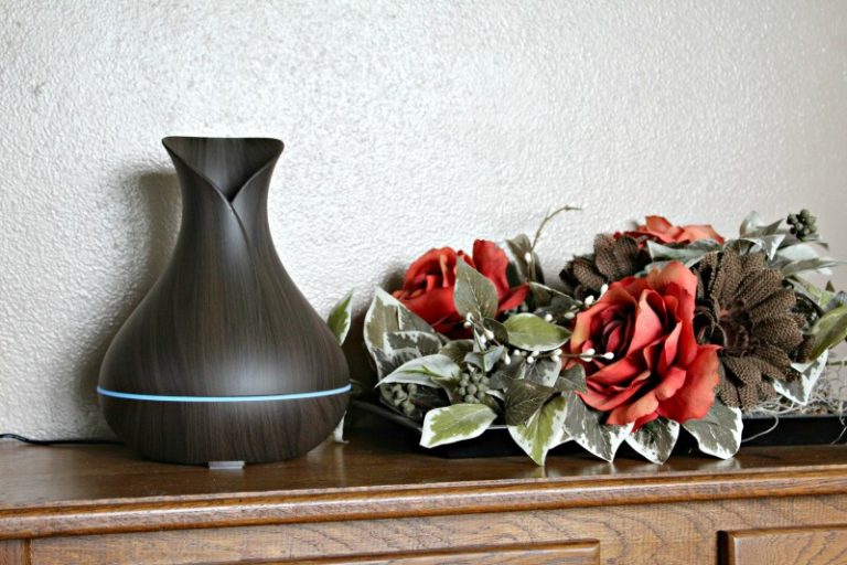 VicTsing Essential Oils & Diffusers | Emily Reviews