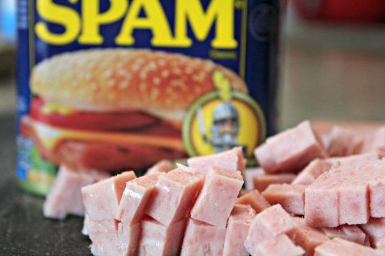 20 Ways To Eat SPAM Meat | Emily Reviews