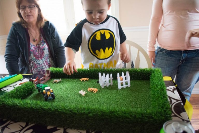 The Field Toy Farm Play Set | Emily Reviews