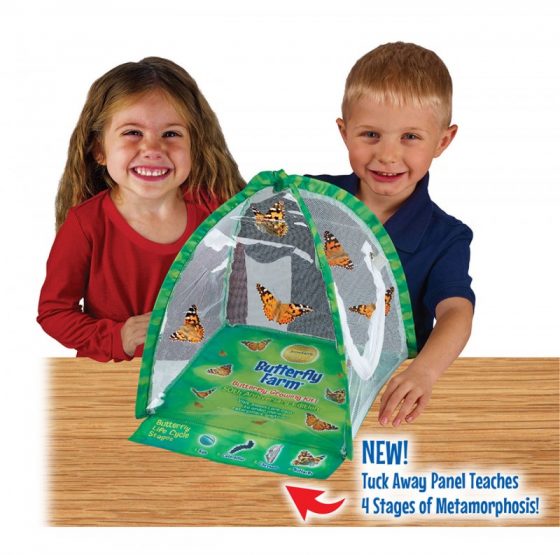 Celebrating 50 Years of Insect Lore With The Butterfly Farm Kit {Post 1 ...
