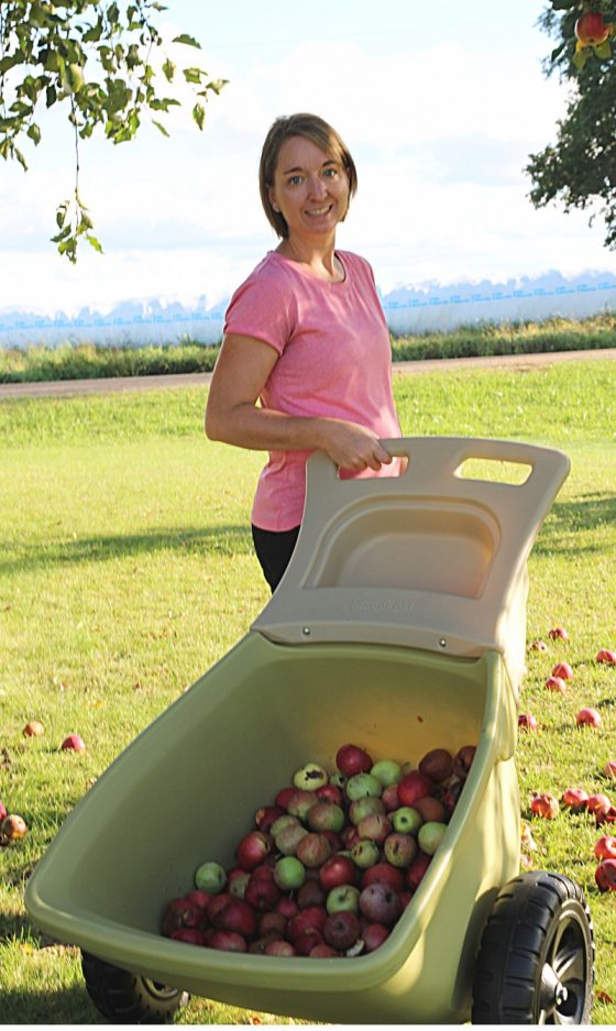 Make Fall Clean-Up Easy With The Simplay3 Easy Haul Wheelbarrow | Emily ...