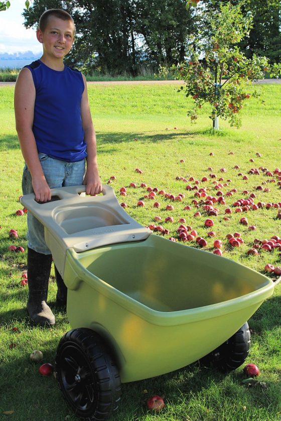 Make Fall Clean-Up Easy With The Simplay3 Easy Haul Wheelbarrow | Emily ...