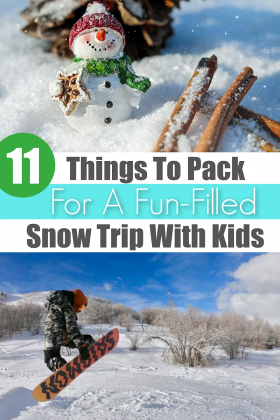 11 Things To Pack For A Fun-Filled Snow Trip With Kids {+ Shred Dog ...