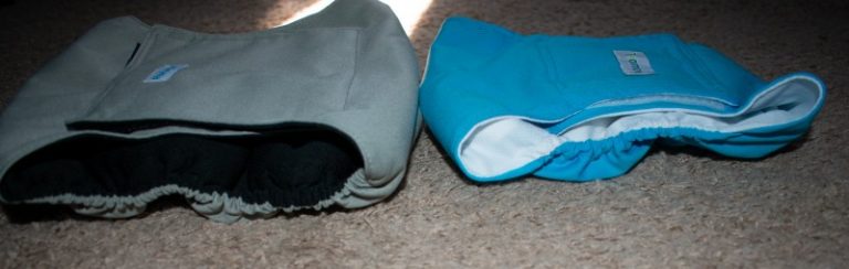 Our Favorite Belly Bands For Pugs | Male pug dog diapers | Emily Reviews