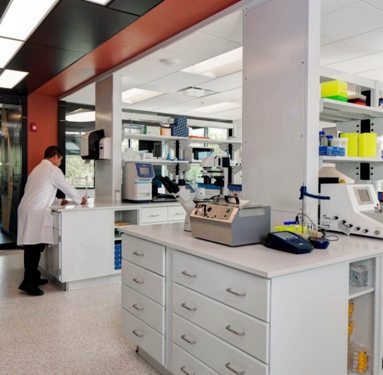 Advanced DNA Testing from Dynamic DNA Labs + a Giveaway | Emily Reviews