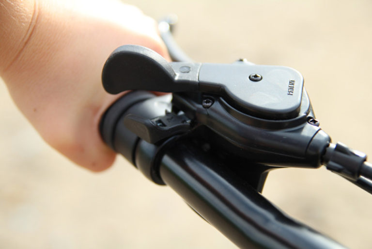 Joey Bikes Thumper 8 Speed 20" Review | Emily Reviews