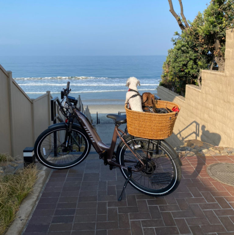 Aventon eBikes Make GREAT Christmas Gifts! | Emily Reviews