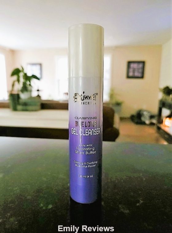 REJUVA MINERALS Clean Makeup & Skin Care Products ~ Review | Emily Reviews