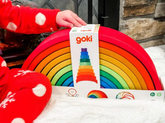 goki America – Rainbow Stacker Building Blocks Review | Emily Reviews