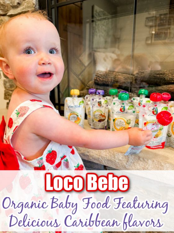 Loco Bebe Review – Organic Baby Food Featuring Caribbean flavors ...
