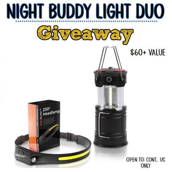 Professional NightBuddy Work Kit Review (+ a giveaway!) | Emily Reviews
