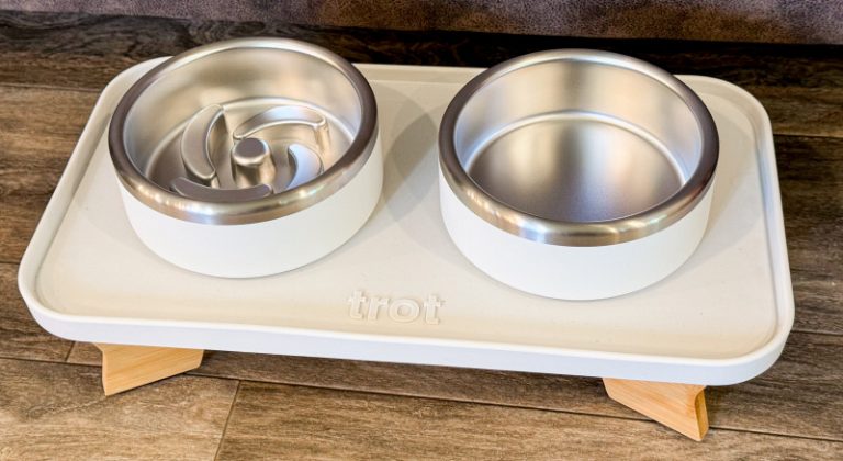 Trot Pets: Complete Feeding Set With Mat + Stand Review | Emily Reviews
