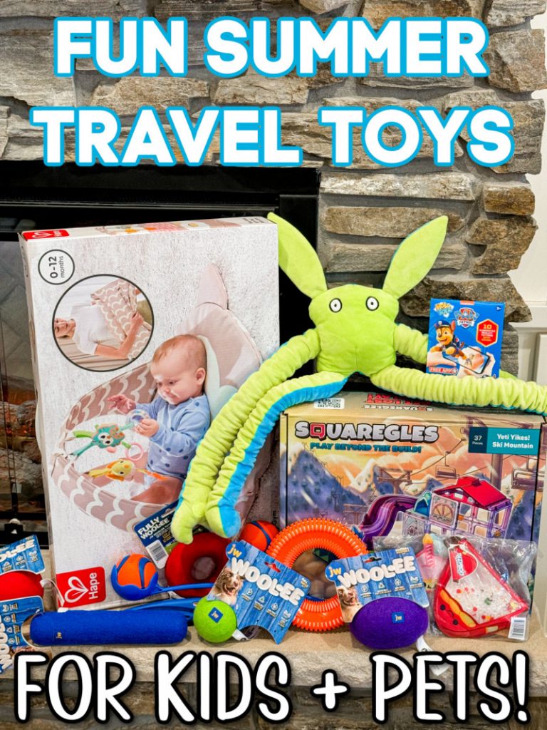The PERFECT Summer Travel Toys (For Kids & Pets!) | Emily Reviews