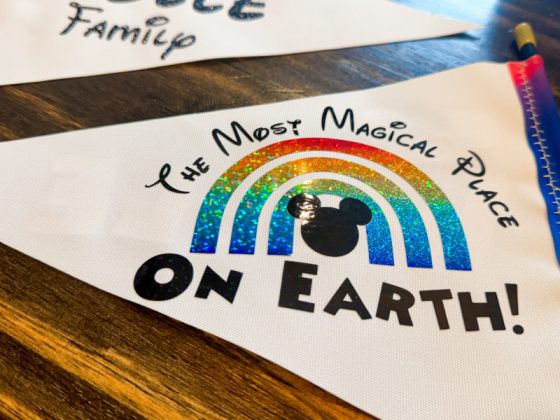 Magic Spotters Stroller Flag Review & Giveaway! | Emily Reviews