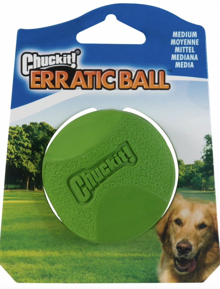 Celebrate National Fetch Day with Chuckit! | Emily Reviews