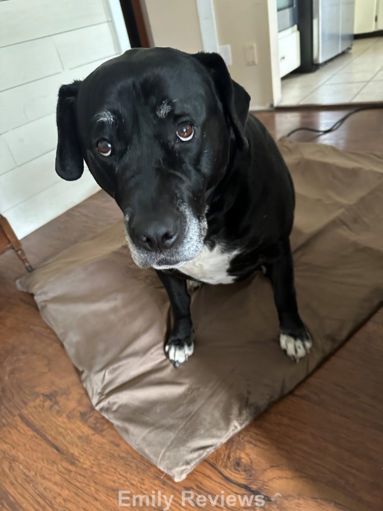 Ultimate Comfort: TURBRO’s Neighborhood Pet Heating Pad for Your Furry ...