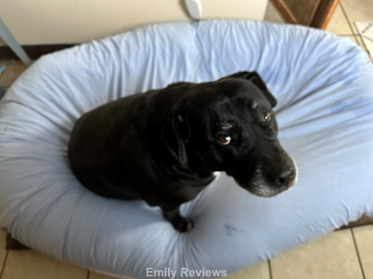 Ultimate Comfort: TURBRO’s Neighborhood Pet Heating Pad for Your Furry ...