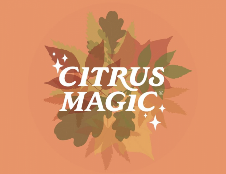 Citrus Magic: Holiday Bakeshop Air Care Giveaway! | Emily Reviews