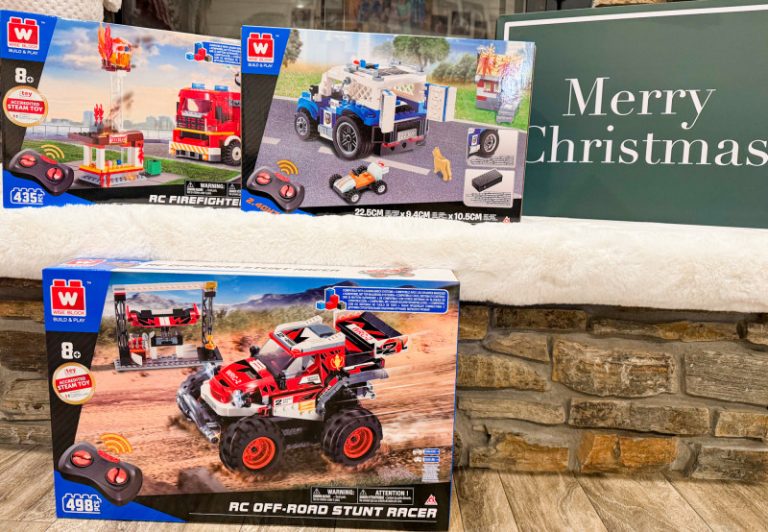 Wise Block Brick Building Sets (+ Giveaway!) | Emily Reviews