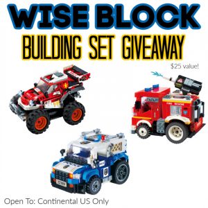 Wise Block Brick Building Sets (+ Giveaway!) | Emily Reviews