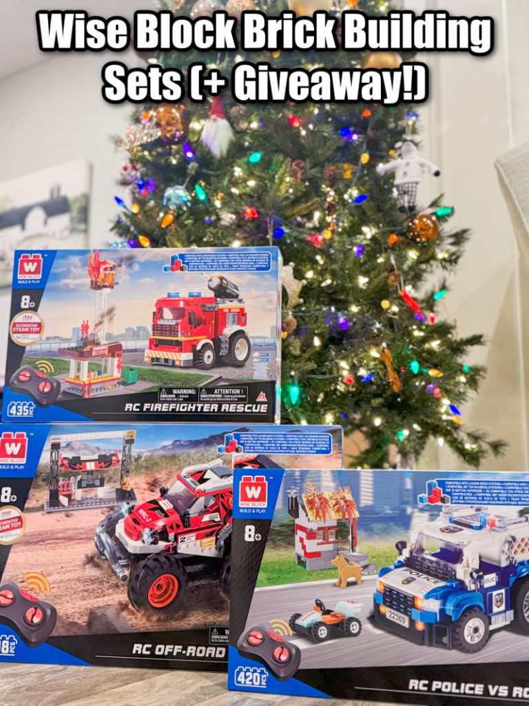 Wise Block Brick Building Sets (+ Giveaway!) | Emily Reviews