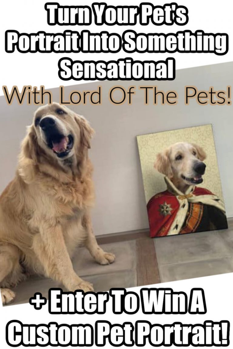 Lord Of The Pets Custom Pet Portraits Featuring YOUR Favorite Animal ...