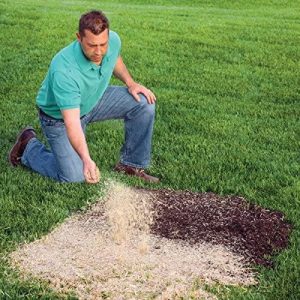 From Seeds to Supper: Your Ultimate Guide to Creating a Thriving Family ...