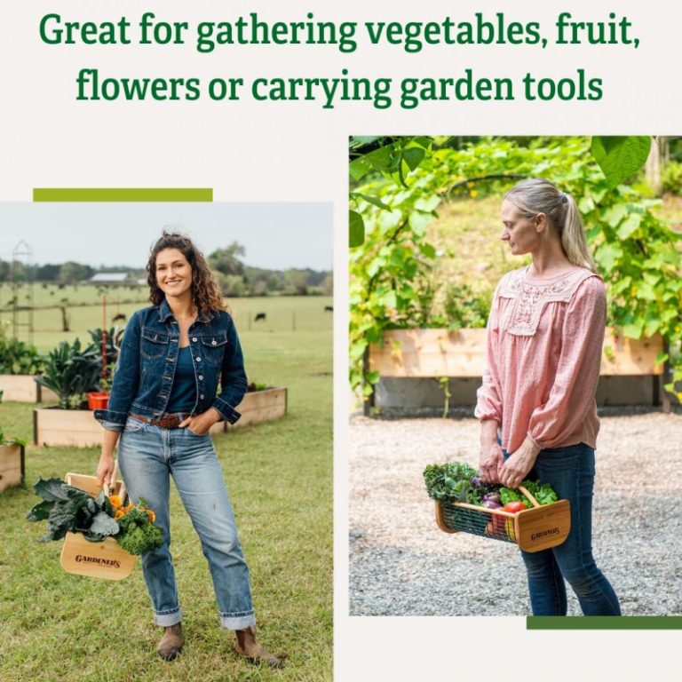 From Seeds to Supper: Your Ultimate Guide to Creating a Thriving Family ...