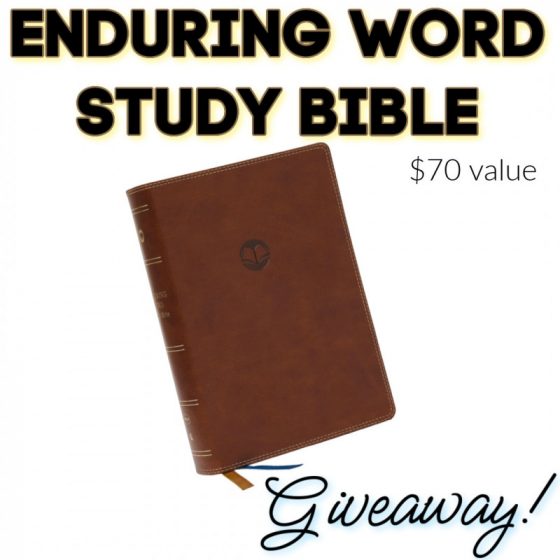 Enduring Word Study Bible Review + Giveaway | Emily Reviews