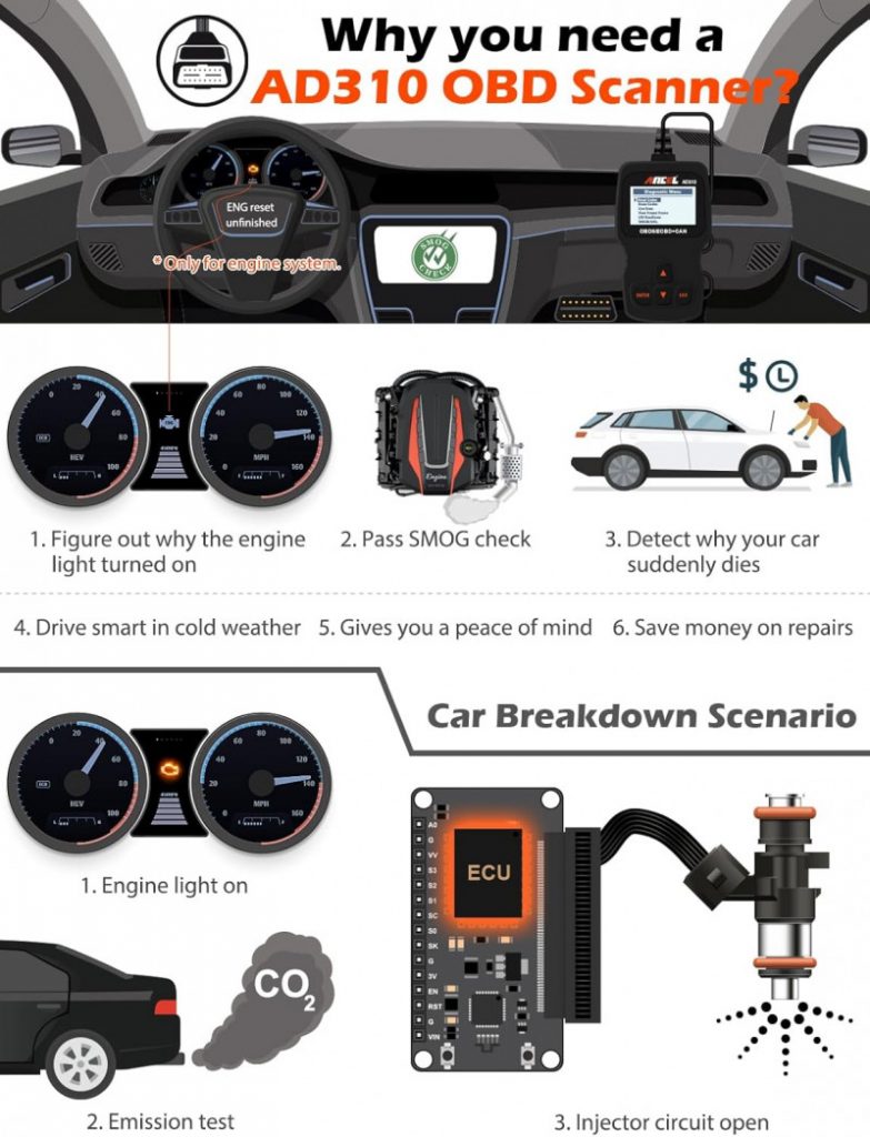 Rev Up Your Holiday Gift Giving: The Ultimate Vehicle Care & Accessory ...