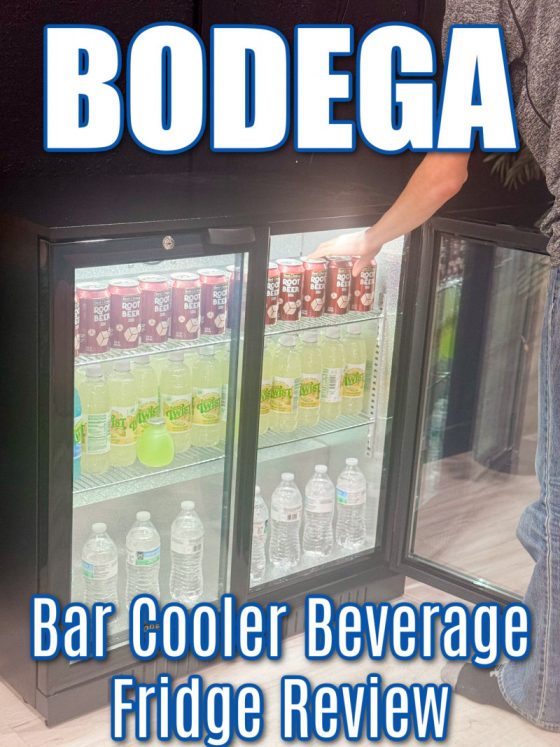 BODEGA Bar Cooler Beverage Fridge Review | Emily Reviews