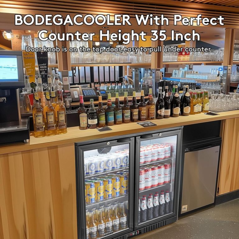 BODEGA Bar Cooler Beverage Fridge Review | Emily Reviews